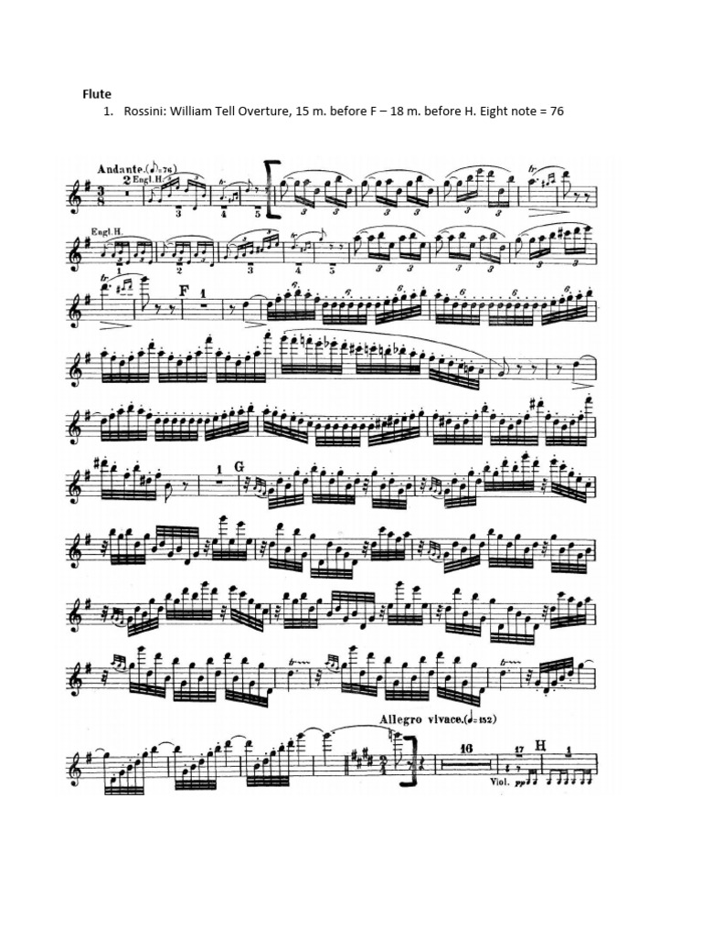 Dso Fall21 Flute and Piccolo | PDF