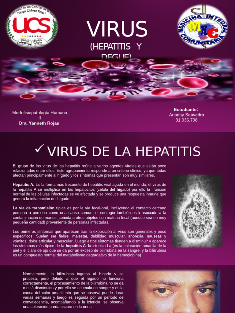 Virus Hepatitis y Dengue: Síntomas y Prevención | PDF | Hepatitis ...
