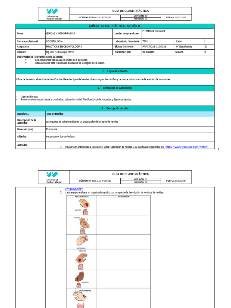 FOR-036 Guia de Practica Semana 9 | PDF | Inteligencia artificial | Inteligencia (IA) y semántica