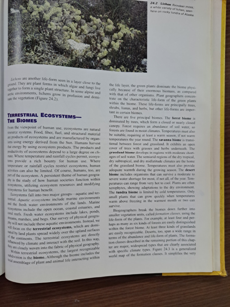 Biomes | PDF | Forests | Rainforest