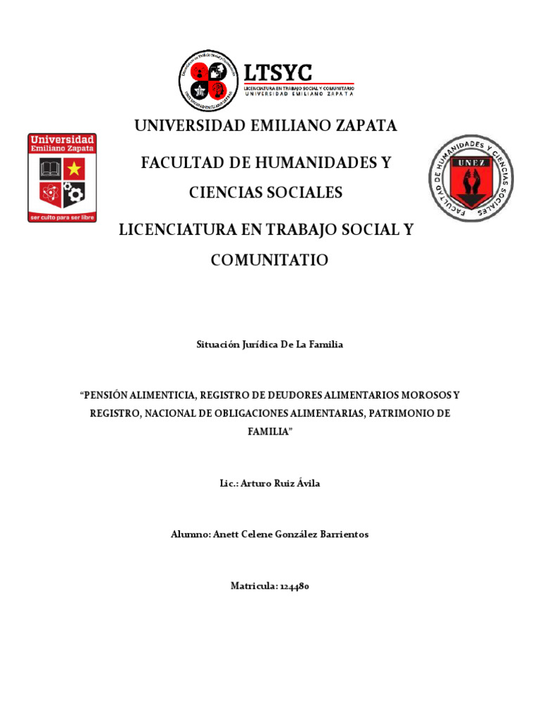 Act 4 | PDF | Trabajo Social | Pensión alimenticia