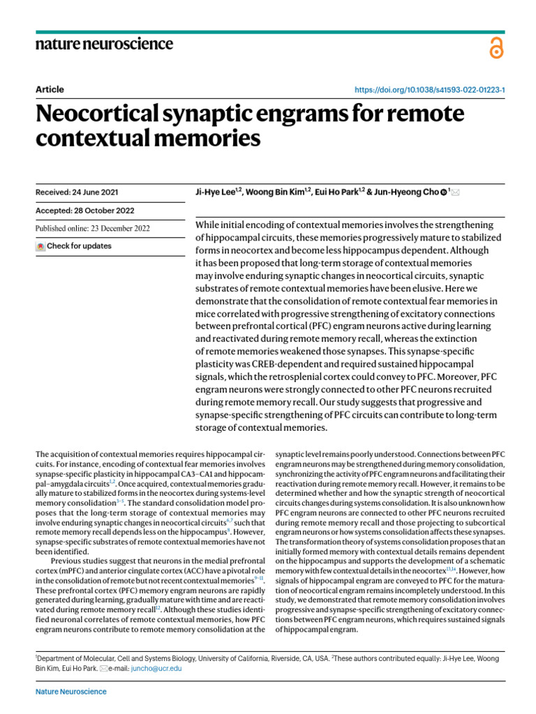 Neocortical Synaptic Engrams For Remote Contextual Memories: Nature Neuroscience | PDF | Memory ...
