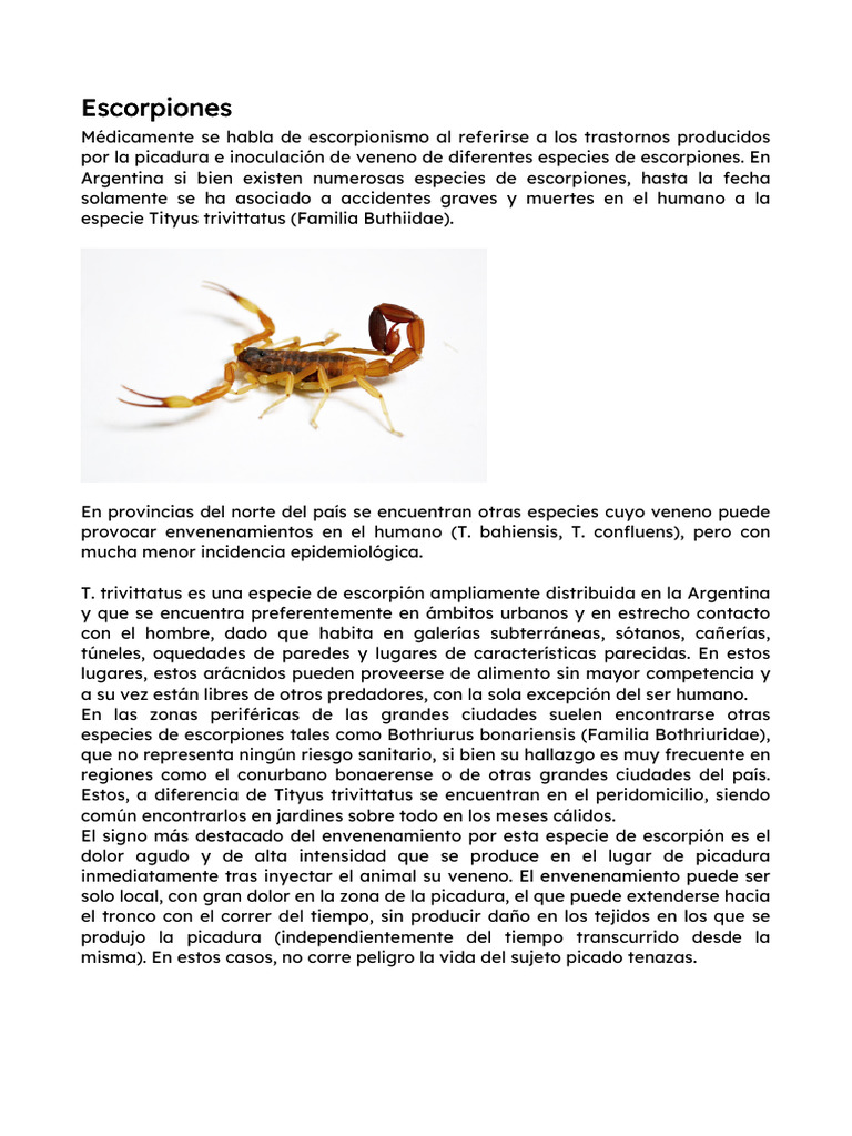 Escorpiones en Argentina | PDF | Veneno | Especialidades Medicas