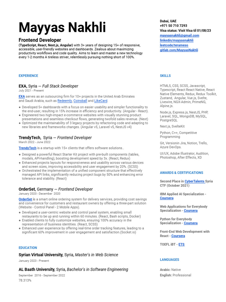Frontend Developer Profile | PDF | Computing | Software Engineering