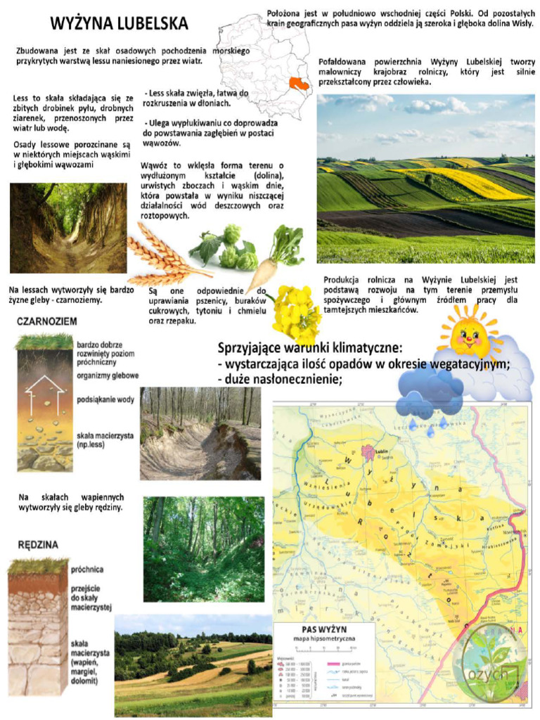 Lubelska Wyzyna | PDF