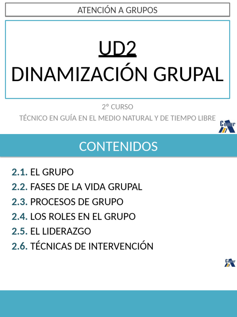 Ud2 - Dinamización Grupal-1 | PDF | Liderazgo | Cohesión grupal