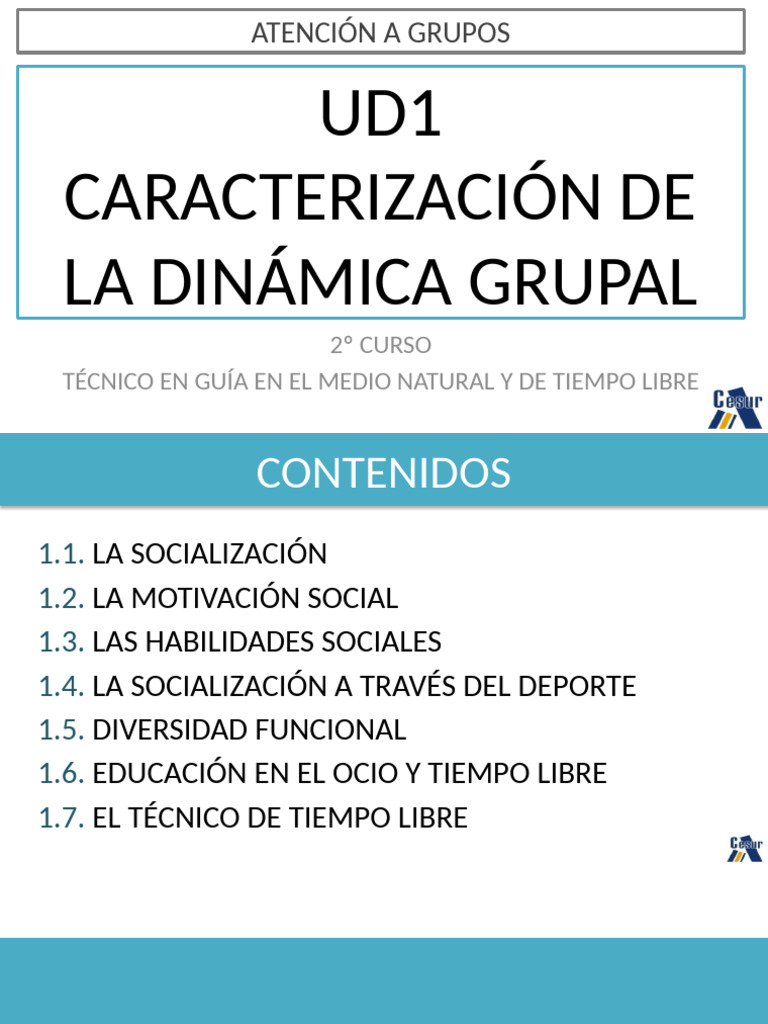 Tema 1 - Caracterización de La Dinámica Grupal-1 | PDF | Las emociones | Motivacional