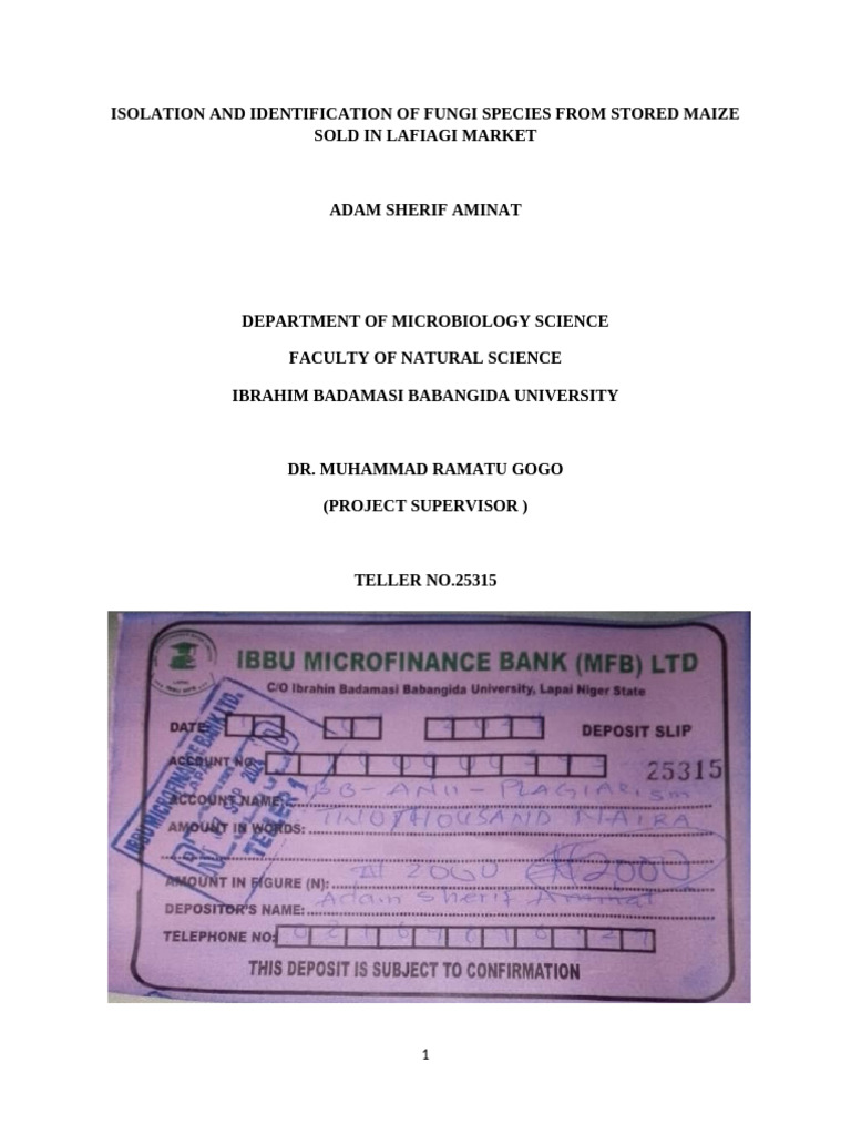 Isolation and Identification of Fungi Species From Stored Maize Sold in ...
