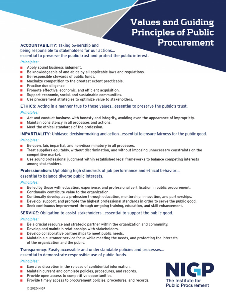 2020 Values and Guiding Principles - Public Procurement | PDF | Business
