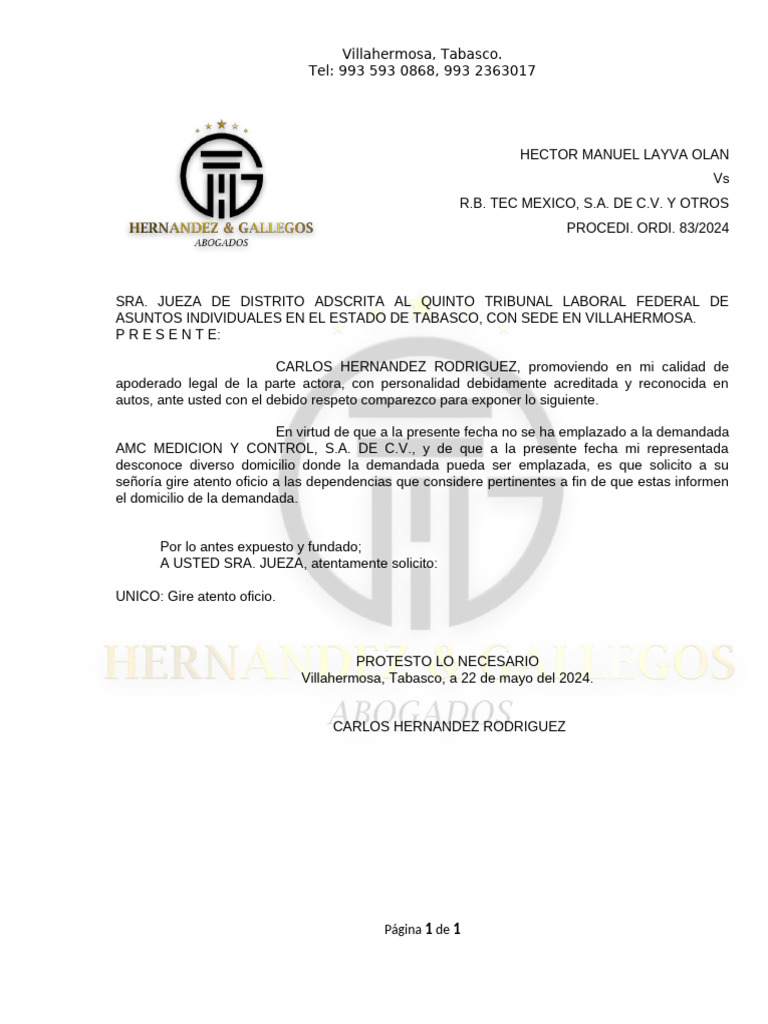 Solicitud de Girar Oficios | PDF
