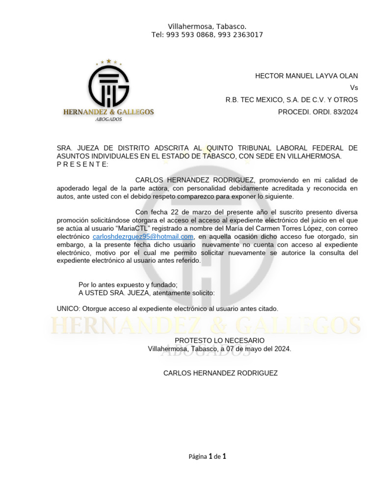 Segunda Olicitud de Acceso Al Expe Electronico | PDF