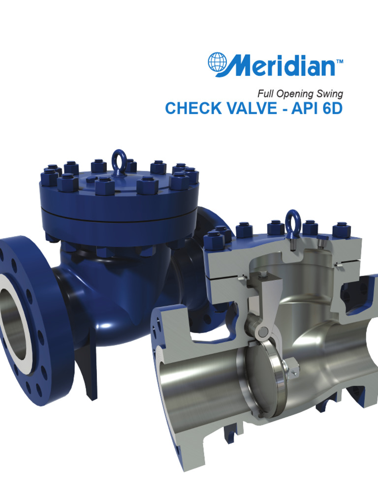 Meridian API 6D Check Valve Overview | PDF | Valve | Pound (Mass)