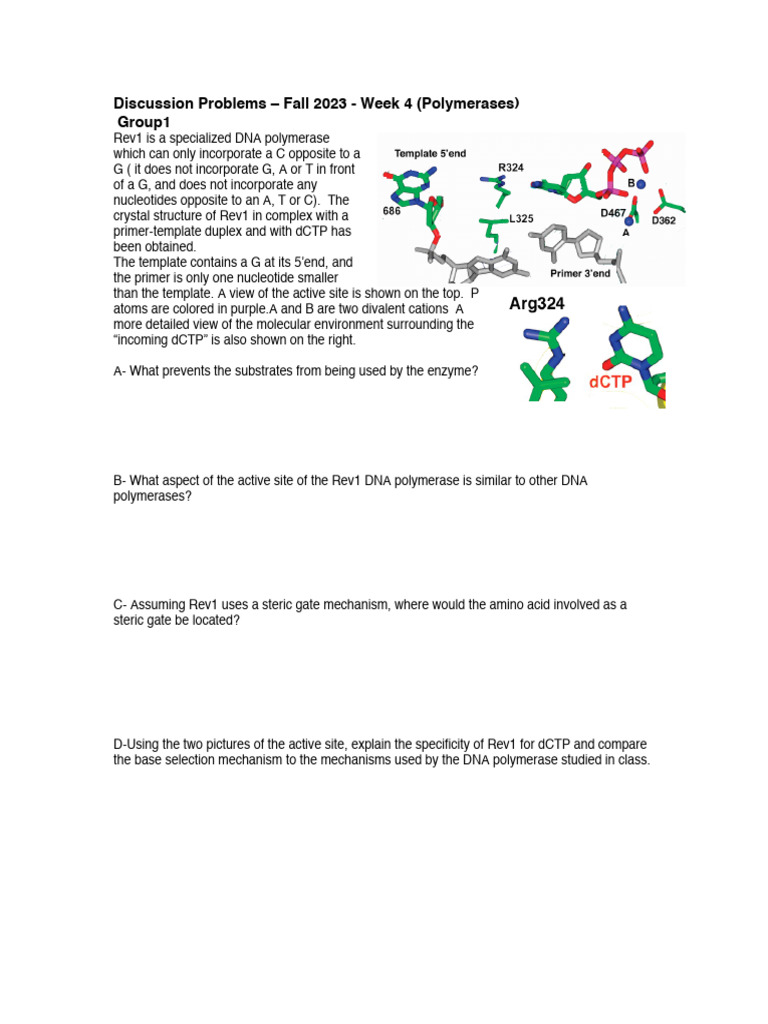 DiscussionWeek4. ProblemSet | PDF | Primer (Molecular Biology) | Molecular Biophysics