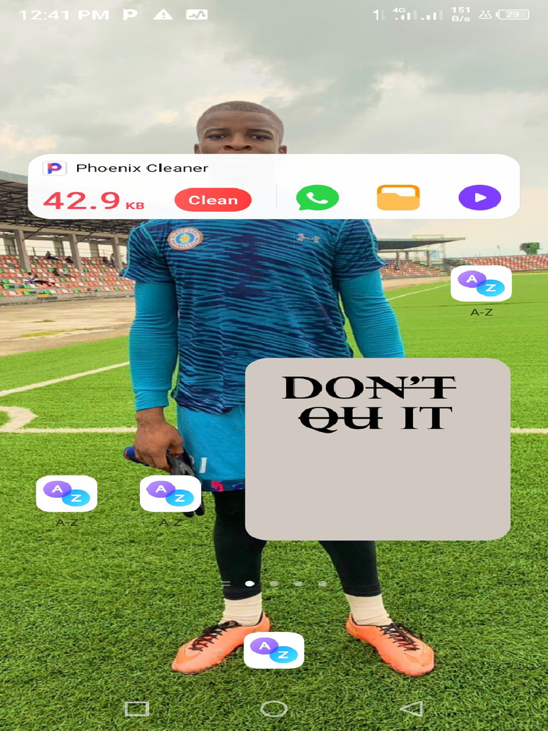 PDF Phoenix 20241125 222342 | PDF