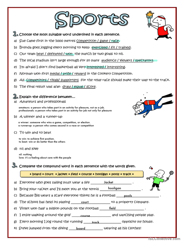 Sports Vocabulary 1 | PDF | Track And Field | Sports