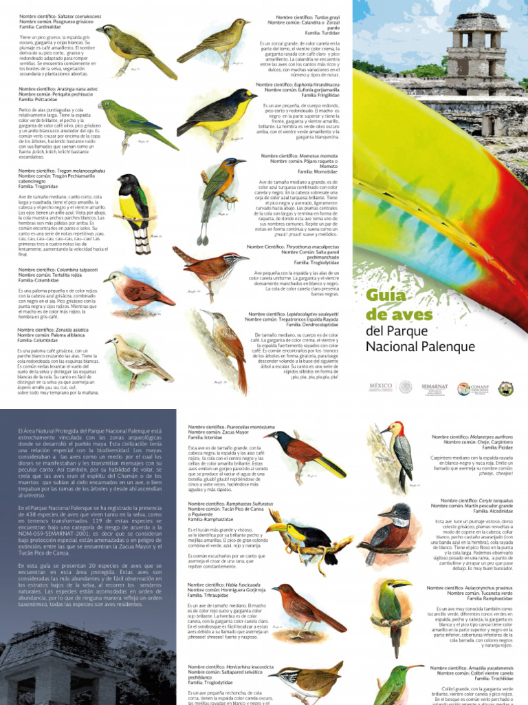 2014 Guia Aves PN Palenque2 | PDF