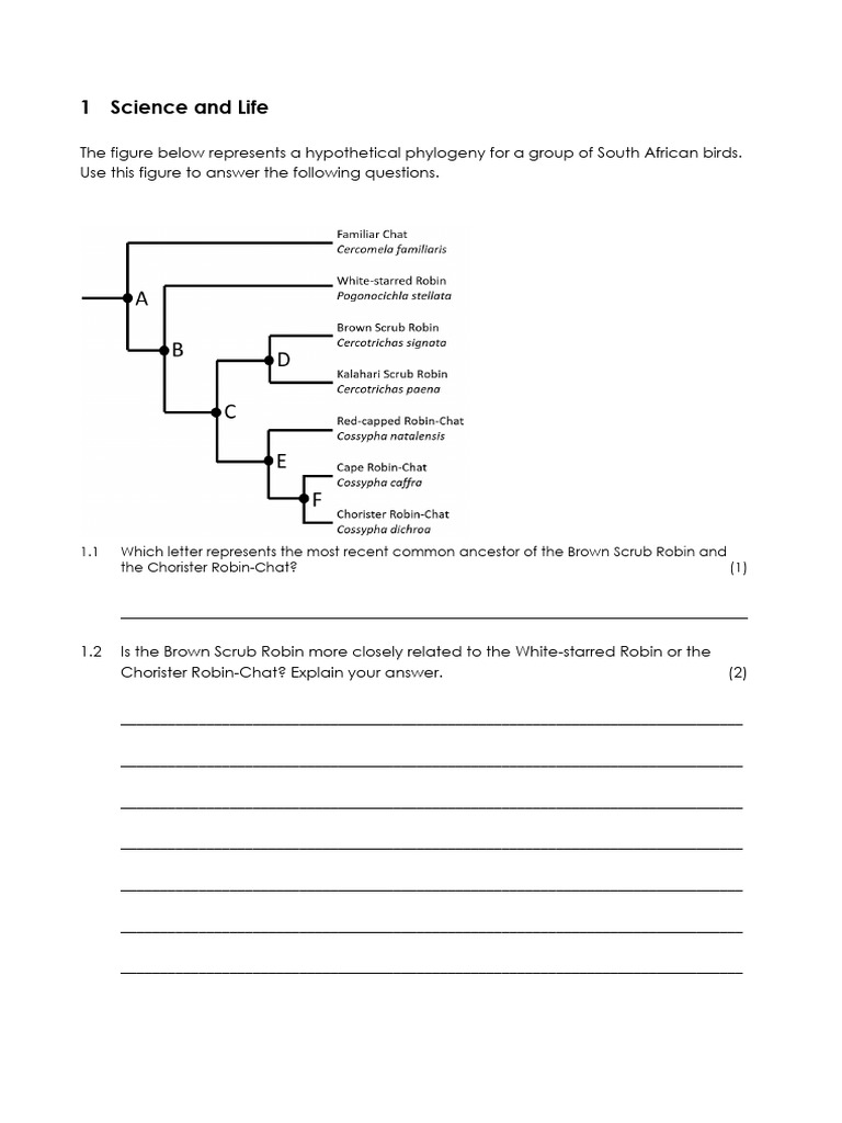 Biology Exam Study Guide | PDF | Cell (Biology) | Photosynthesis