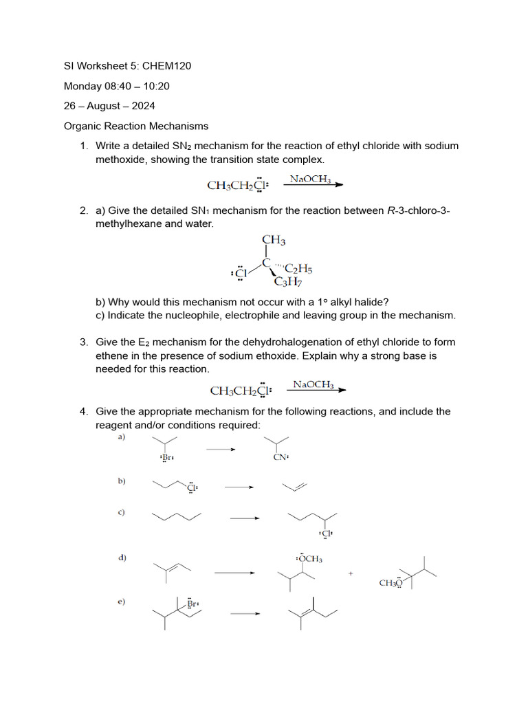 Mon SI Worksheet 5 | PDF