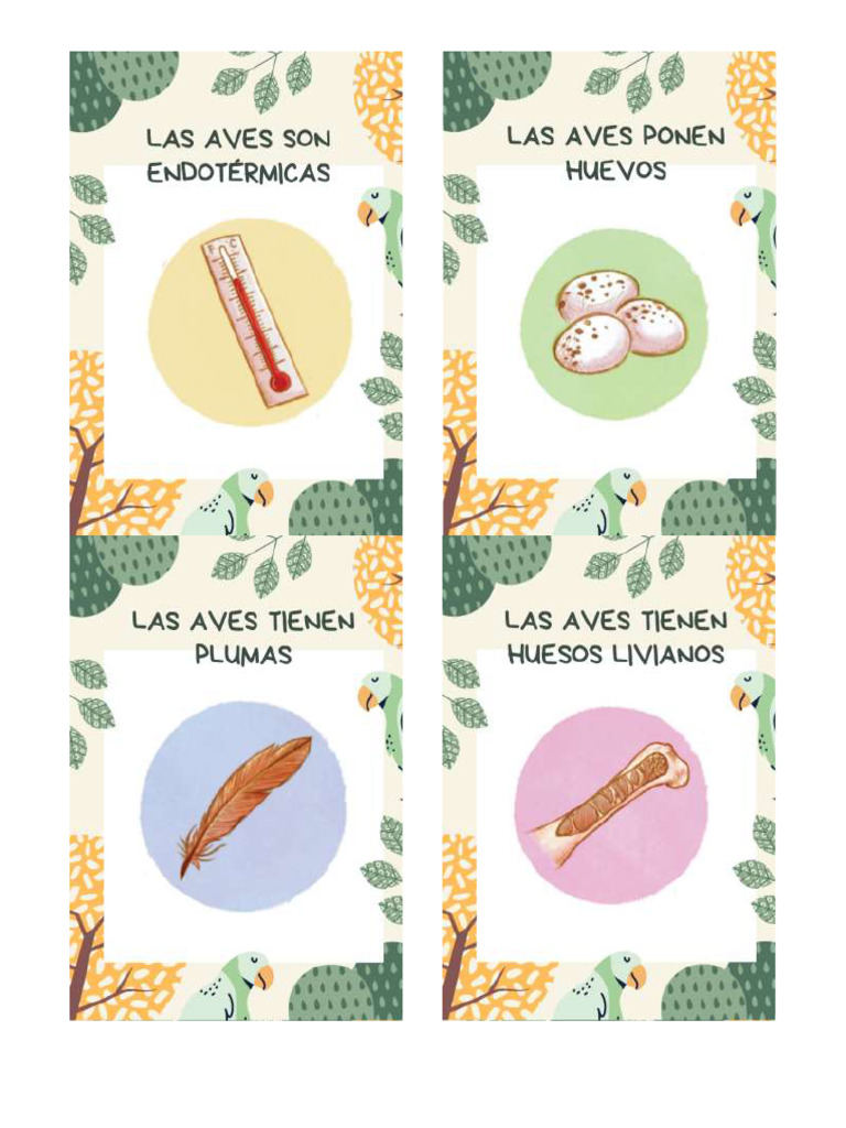 Tarjetas Caracteristicas Aves y Reproduccion | PDF