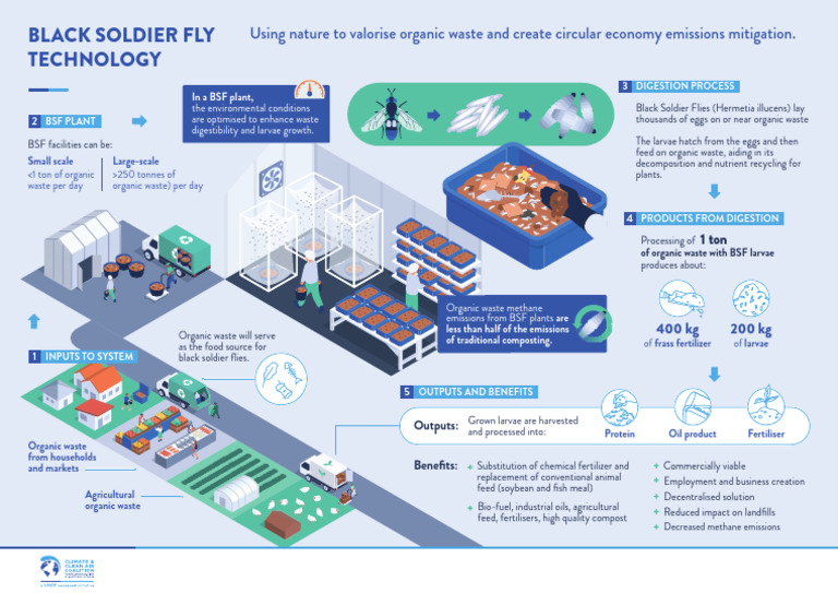 BSFT Infographic | PDF | Fertilizer | Organic Farming