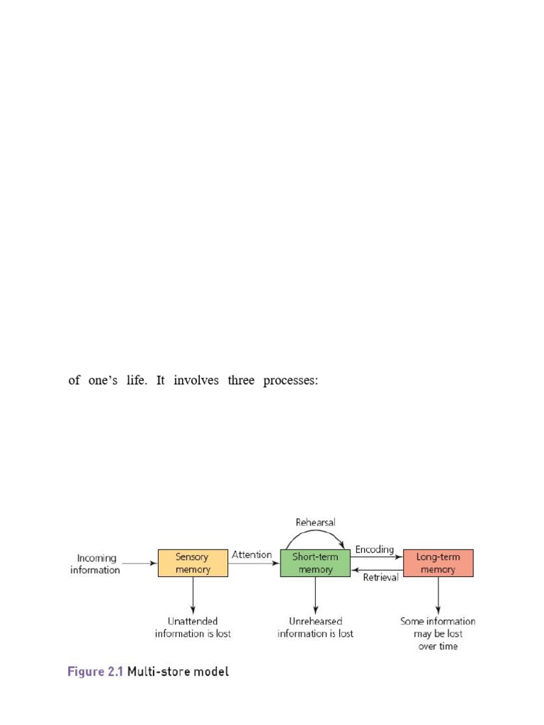 Cognitive Psychology (Note 2) | PDF | Memory | Experiment