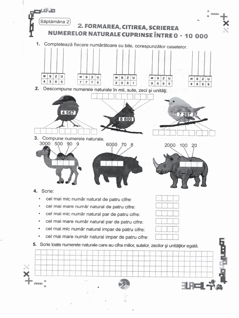 Fise Mate - 4.10.2024 | PDF