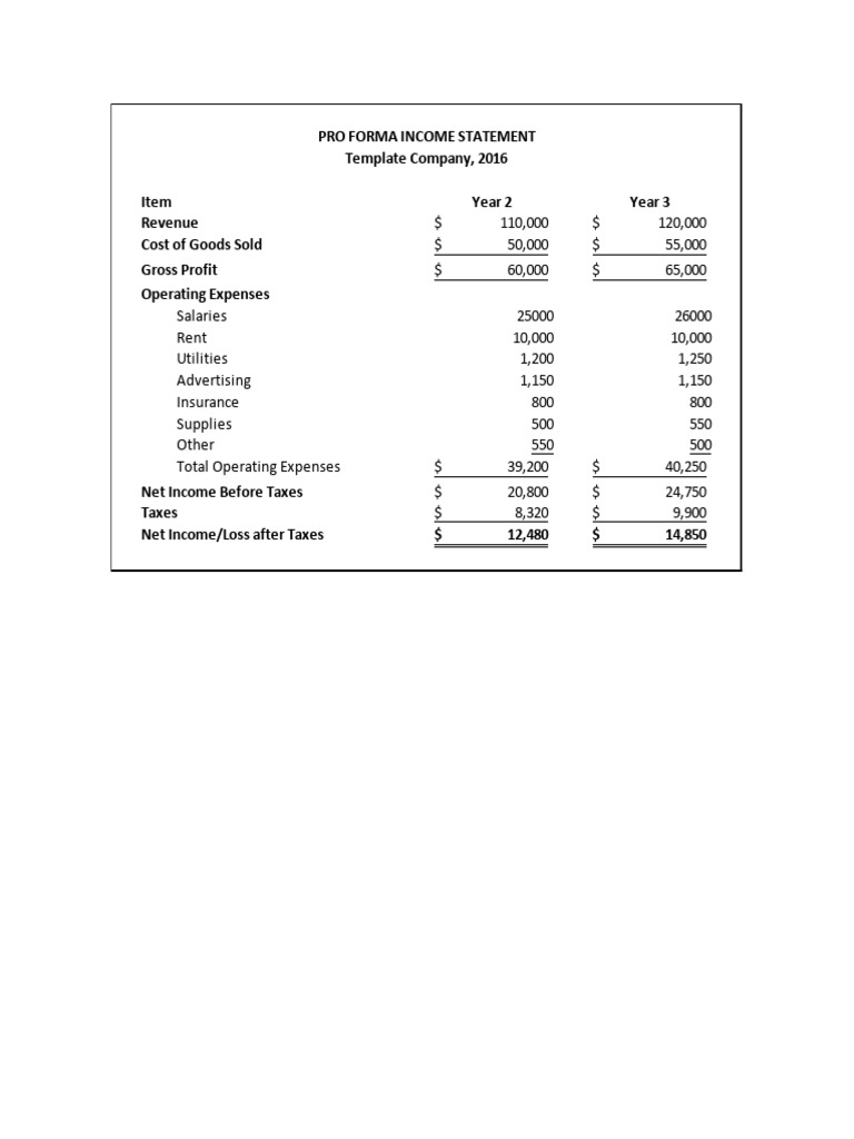 Pro Forma Income Statement 2016 | PDF