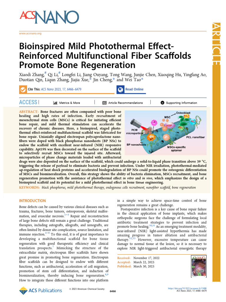 BioinspiredMildPhotothermalEffect-ReinforcedMultifunctionalFiberScaffoldsPromoteBoneRegeneration ...
