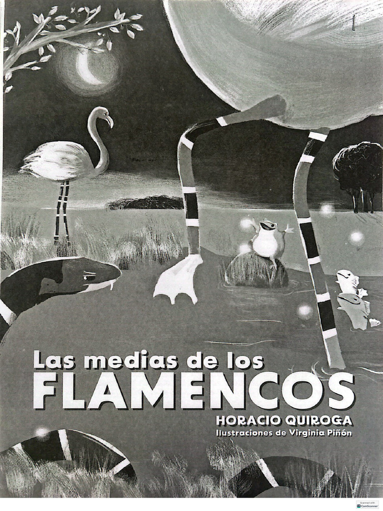 Las Medias de Los Flamencos | PDF