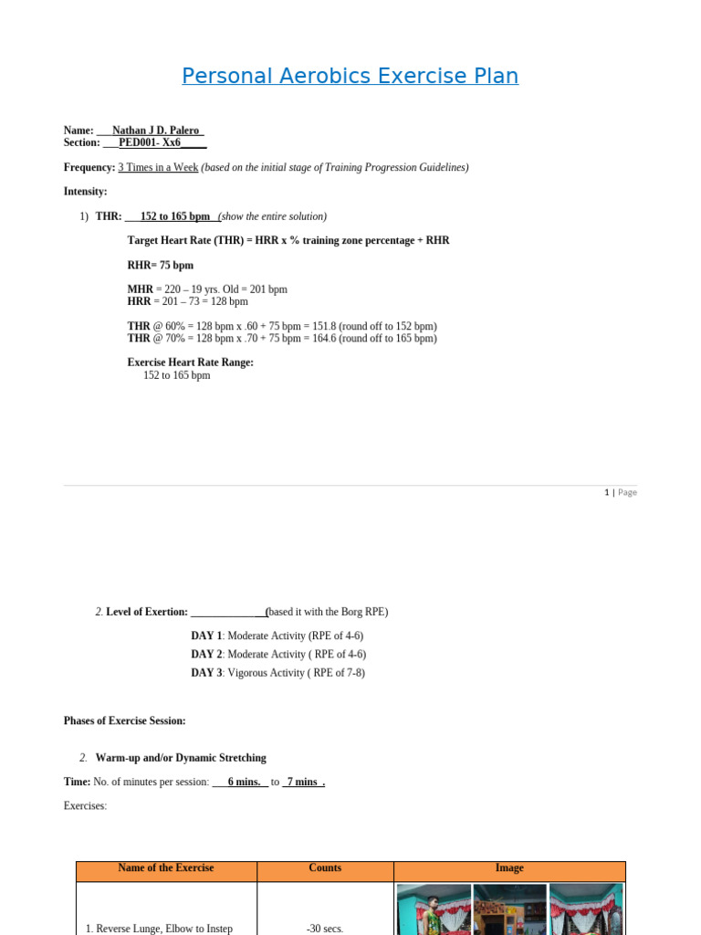 2021 Personal Aerobics Exercise Plan - PALERO | PDF | Heart Rate | Physical Fitness