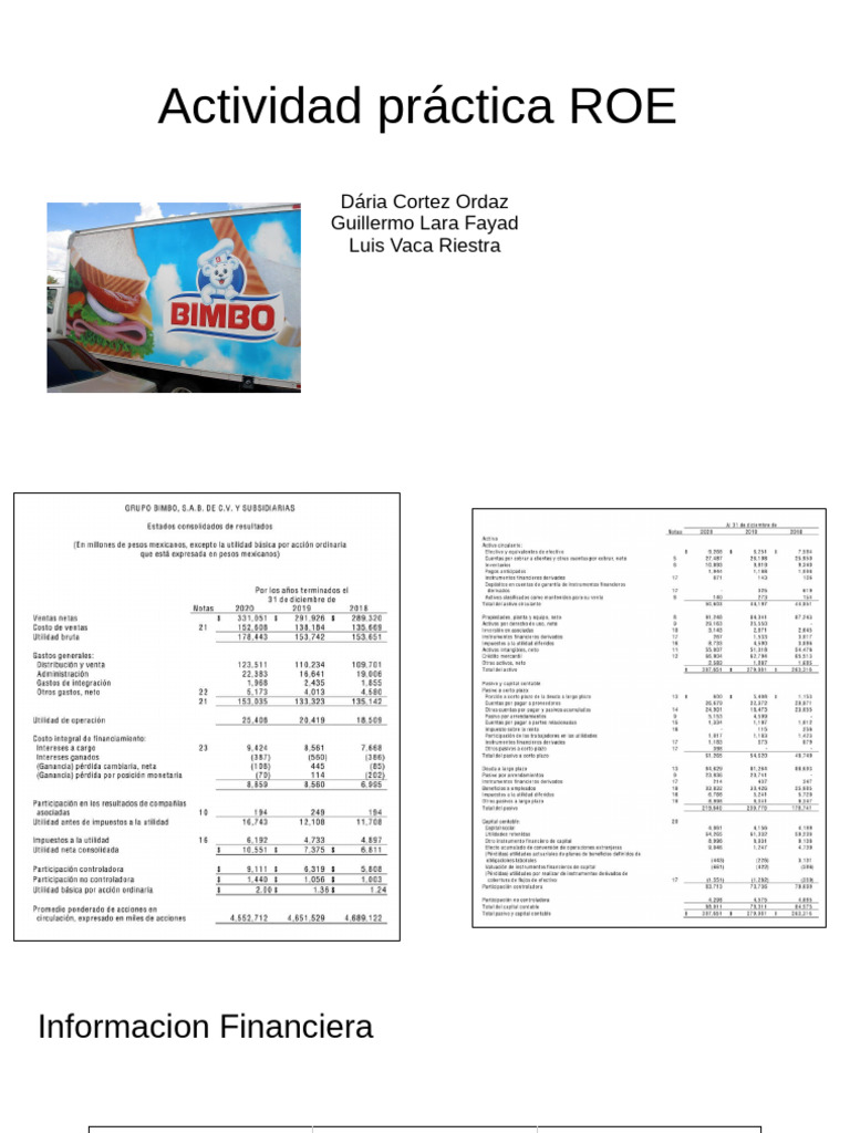 Actividad Practica ROE | PDF | Negocios | Finanzas y dinero