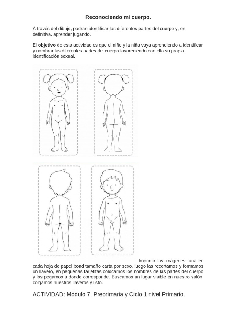 Actividad EIS | PDF | Sistema reproductivo