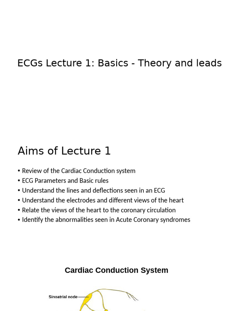 ECG Basics: Theory and Leads Explained | PDF | Electrocardiography ...