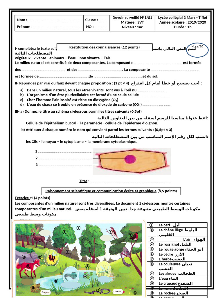 Devoir Surveillé 1 2019 1ac-A | PDF