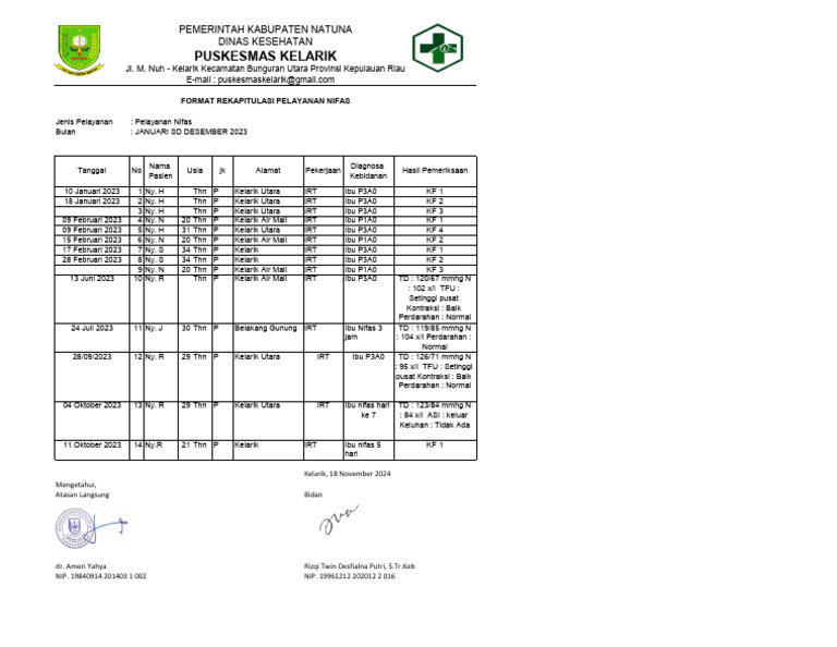 Format Rekapitulasi Pelayanan Nifas 2023 | PDF