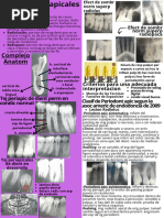 Características Radiográficas de Las Lesiones Periapicales 2020 | PDF ...