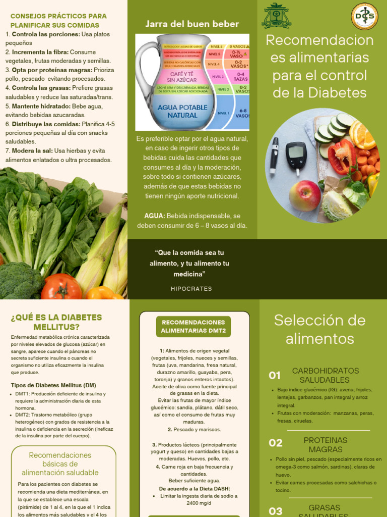 Folleto Nutrición Pdf Diabetes Alimentos
