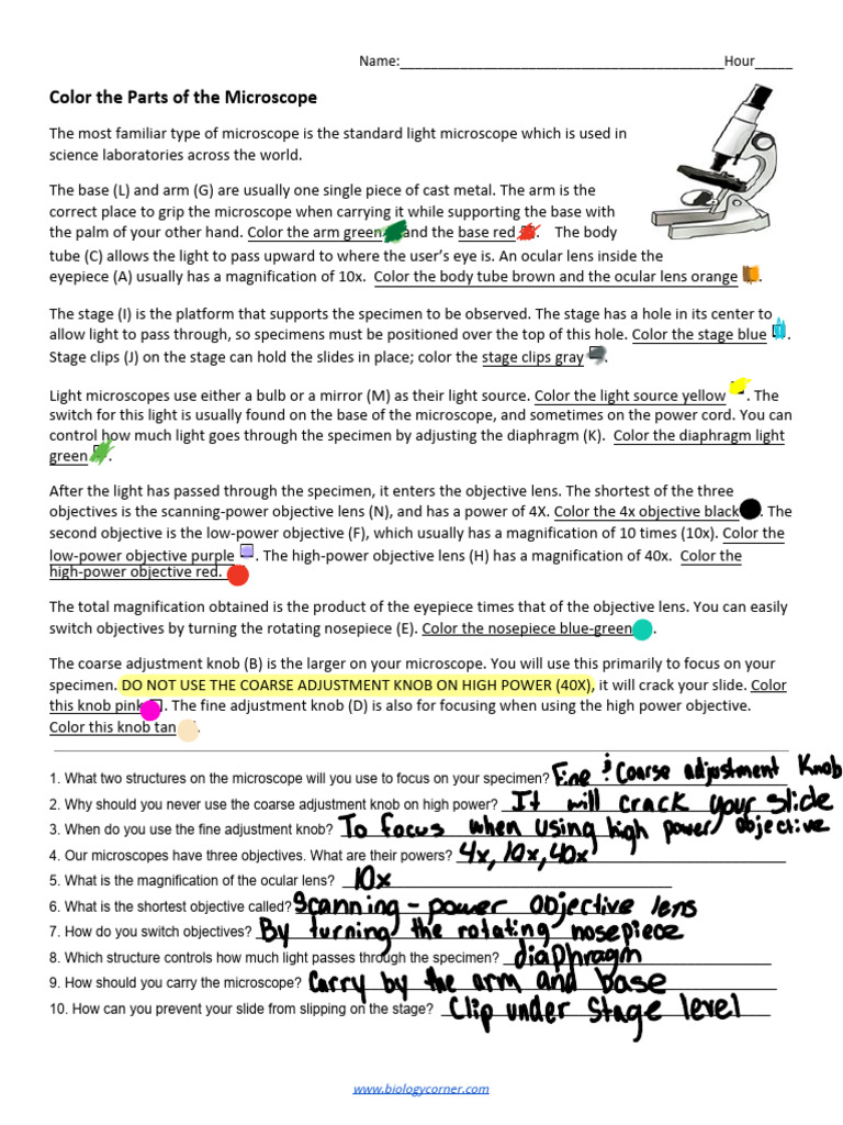 Color The Parts of The Microscope | PDF | Glass Applications | Equipment