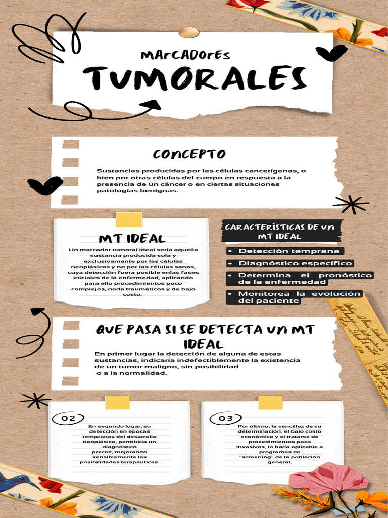 Infografía MT - 20240603 - 113022 - 0000 | PDF | Ciencia y matemáticas