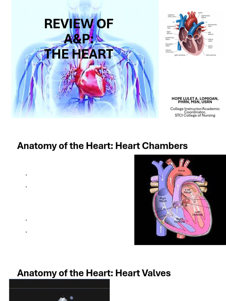 Review of Anatomy and Physiology The Heart | PDF | Heart | Heart Valve