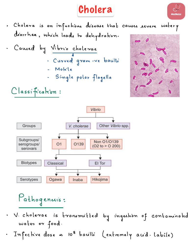 Cholera | PDF | Cholera | Diarrhea