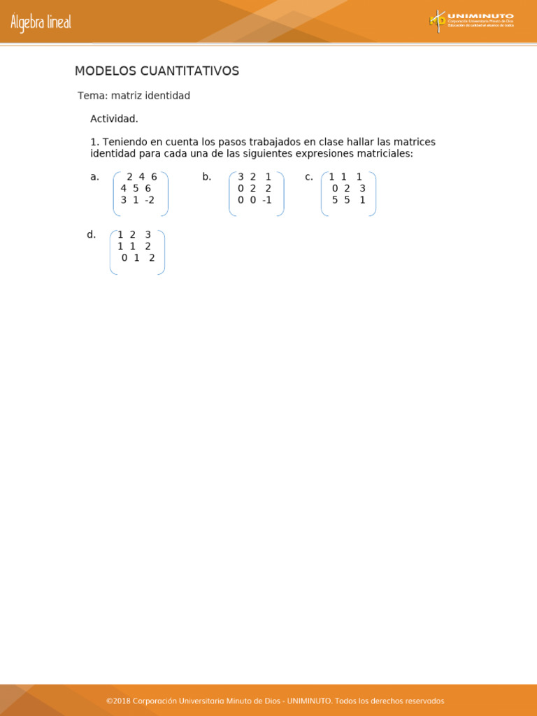 Matrices Identidad en Modelos Cuantitativos | PDF | Informática