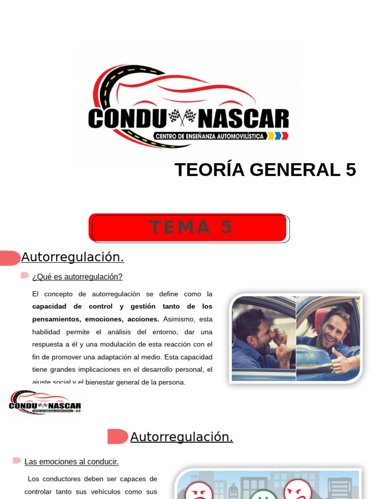 Tema 5 Autorregulacion Pdf Estrés Biología Las Emociones