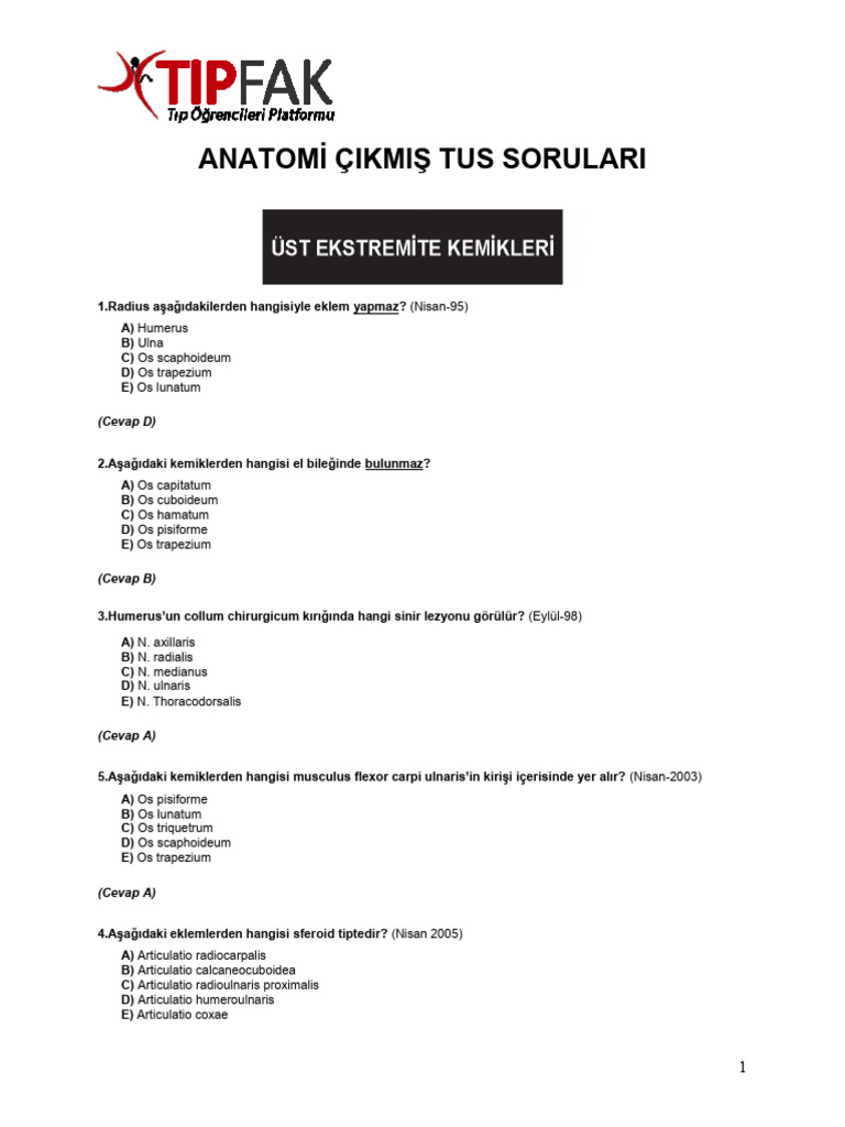 Anatomi Tus | PDF