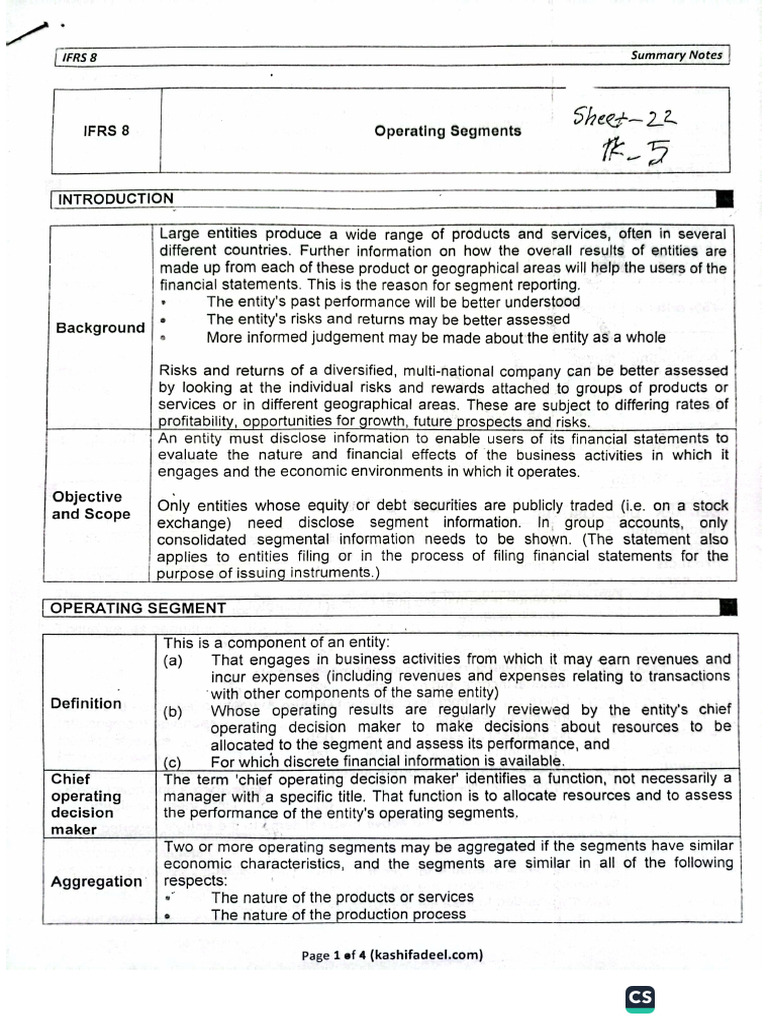 Operating Segment | PDF