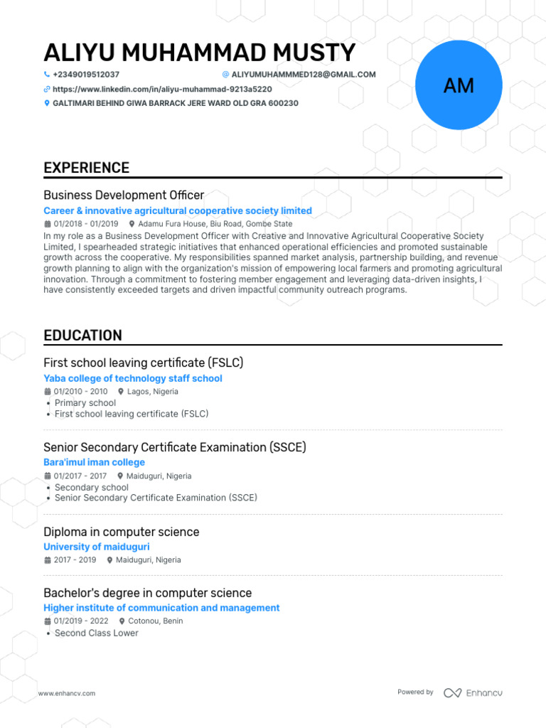 Aliyu Muhammad Musty Resume | PDF | Business