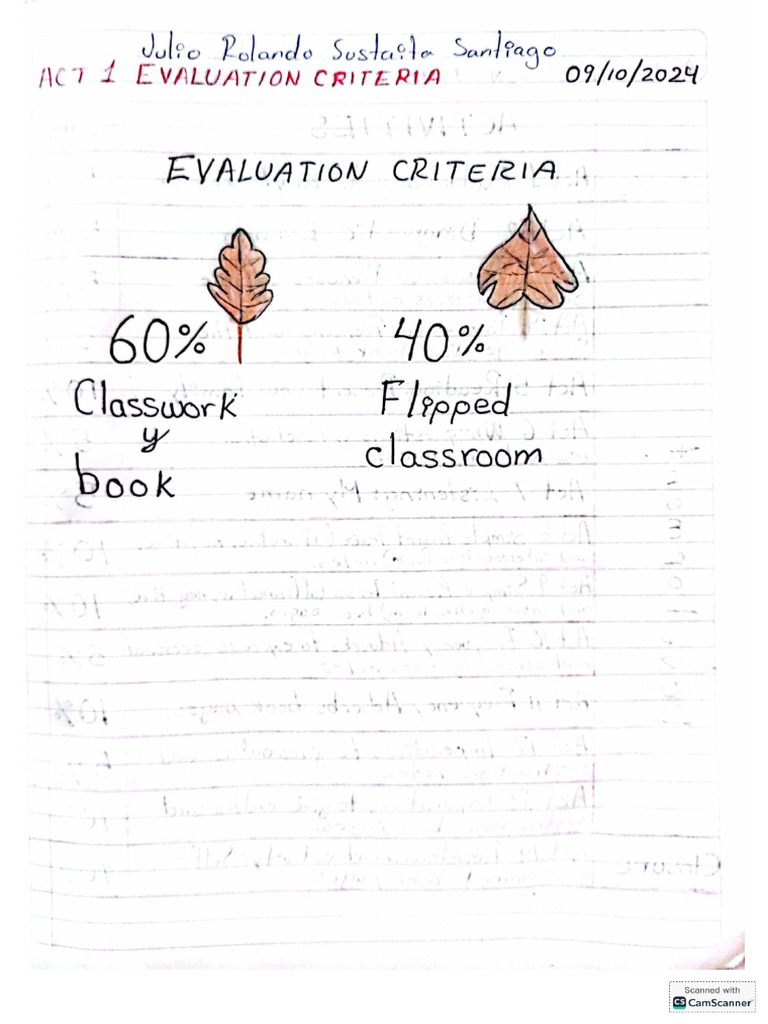 Act. 1 Evaluation Criteria & Lesson Plan | PDF
