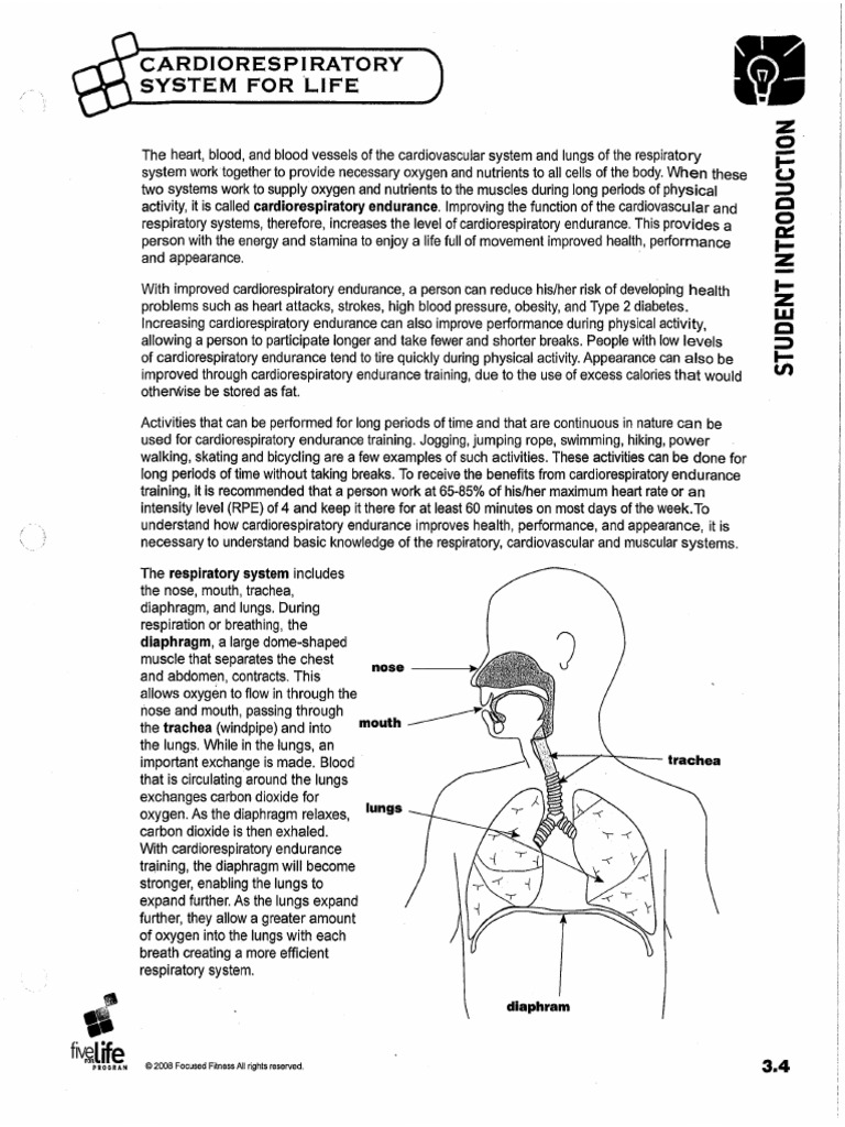 Cardio For Life Study Guide | PDF