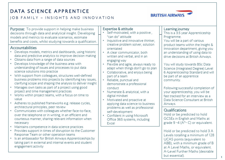 Data Science Apprentice JD 2024 | PDF | Apprenticeship | Cognition
