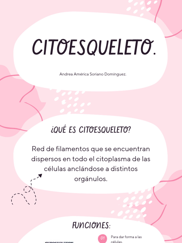 Funciones y Componentes del Citoesqueleto | PDF | Actina | Músculo